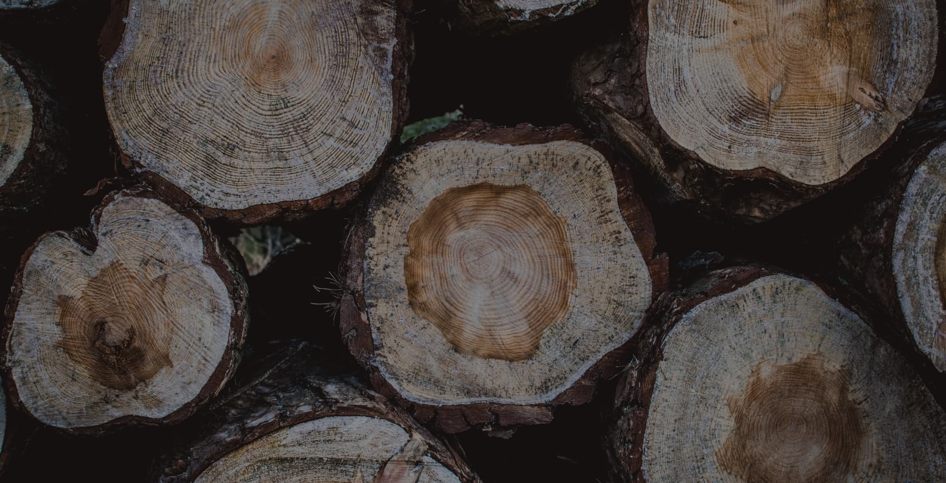 Seneca Lumber Co – Seneca Lumber Co was founded in 2023 and is based on ...